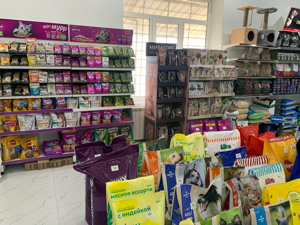 Petshop Zooduken Elion, Almatı eyaleti, foto