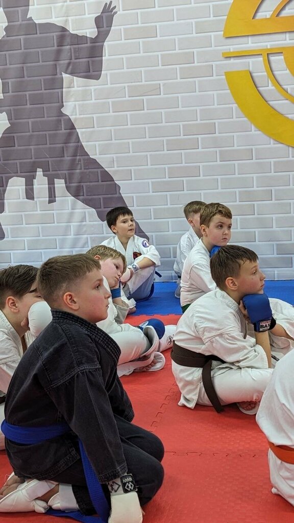 Spor kulüpleri Firestorm Karate, Saint‑Petersburg, foto