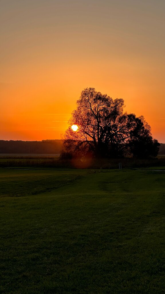 Isıtma sistemleri ve ekipmanları Люкс терм, Moskova, foto