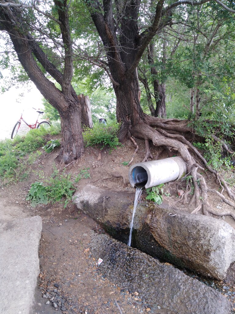 Pınar, çay Spring, stream, Çeliabinskaya oblastı, foto