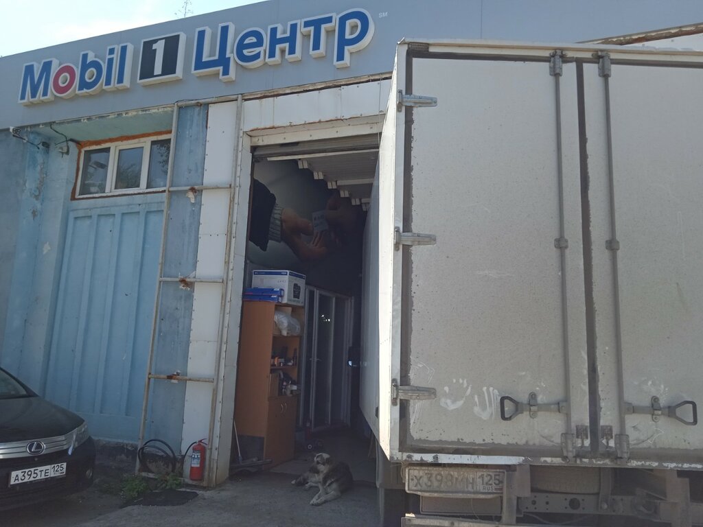 Yağlama ürünleri Автосервис Mobil1, Vladivostok, foto