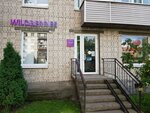 Zoomagazin (Lyoni Golikova Street No:47), petshop  Saint‑Petersburg'dan