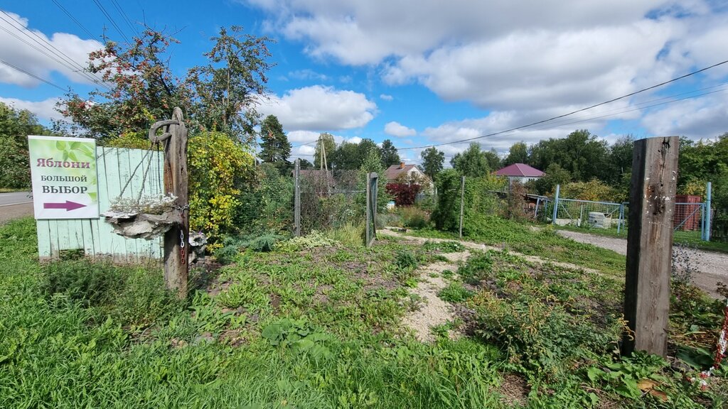 Tohum üretimi Садовая мозаика, Krasnoyarsk, foto