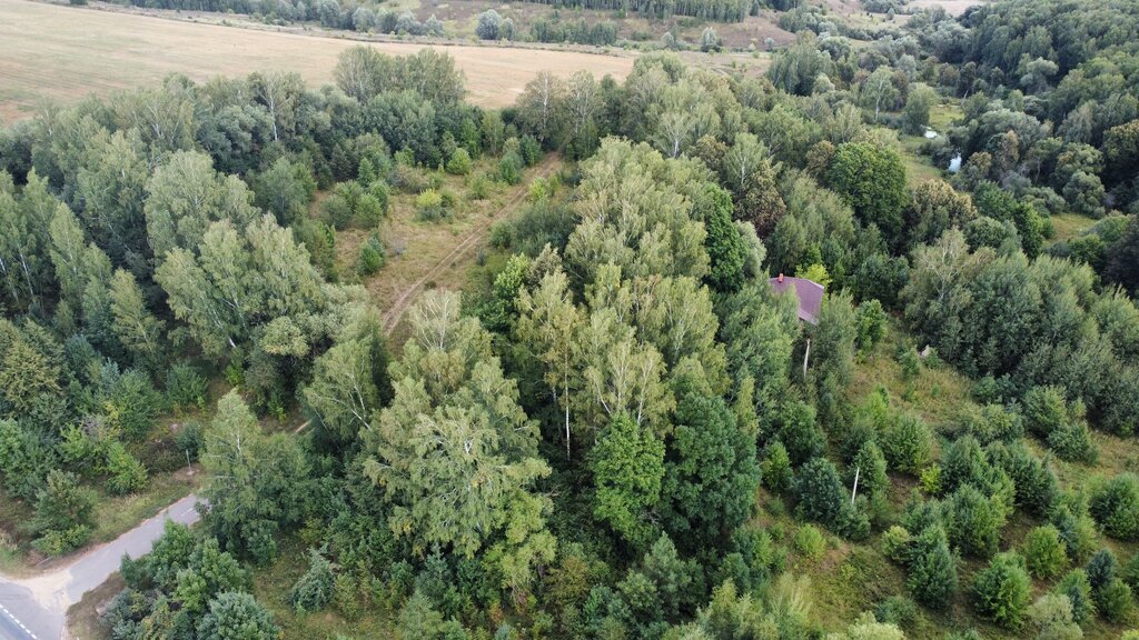 Orman Захарычев сад, Moskova ve Moskovskaya oblastı, foto