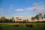 Farm Stay Salas 302 (Autonomous Province of Vojvodina, South Backa Administrative District, City of Novi Sad, naselje Čenej), seyahat acenteleri  Güney Backa İlçesi'nden