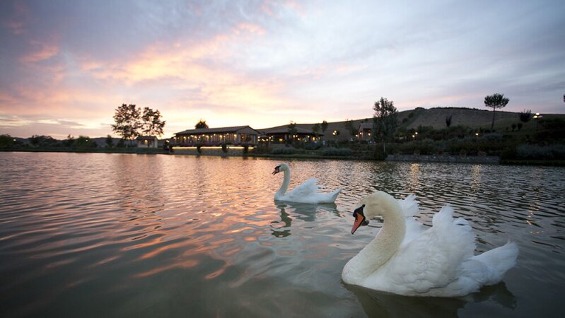 Restoran Il Lago Eventi, , foto