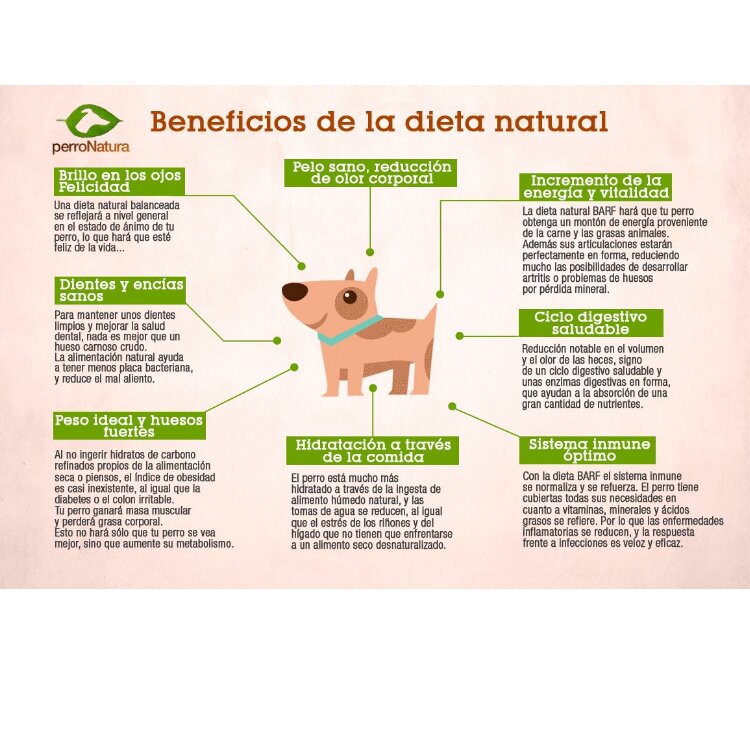 Petshop Nutribarf, Kito, foto