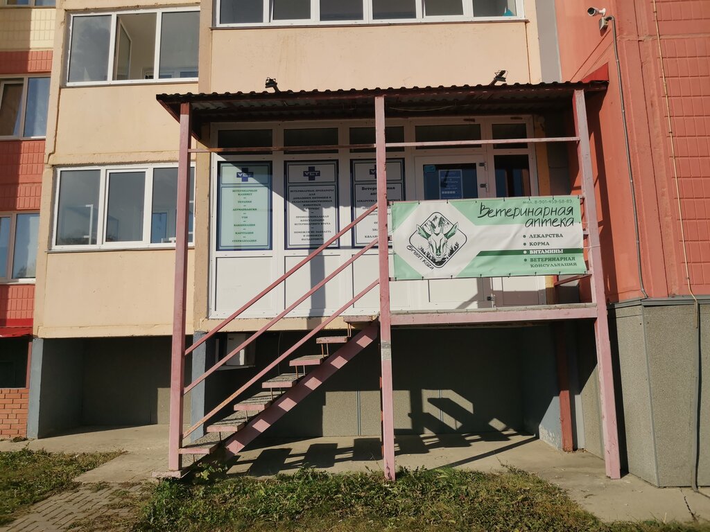 Veteriner eczaneleri Green koza, Novosibirsk, foto