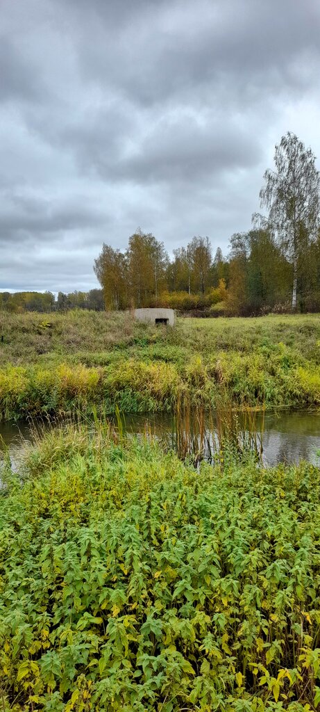 Unutulmaz olayların yeri Плац-театр, Moskova ve Moskovskaya oblastı, foto