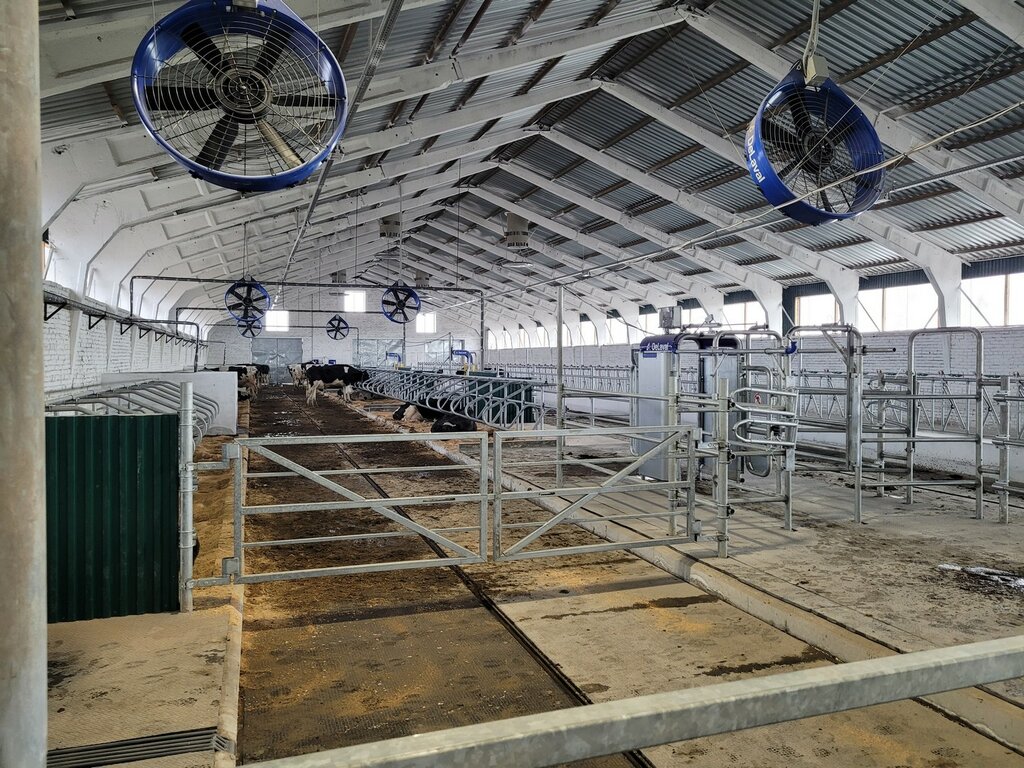 Hayvancılık Родильное отделение, Novosibirskaya oblastı, foto