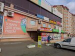 Сырный мир (Serova Street No:468/5), süt ürünleri satış mağazaları  Stavropol'dan