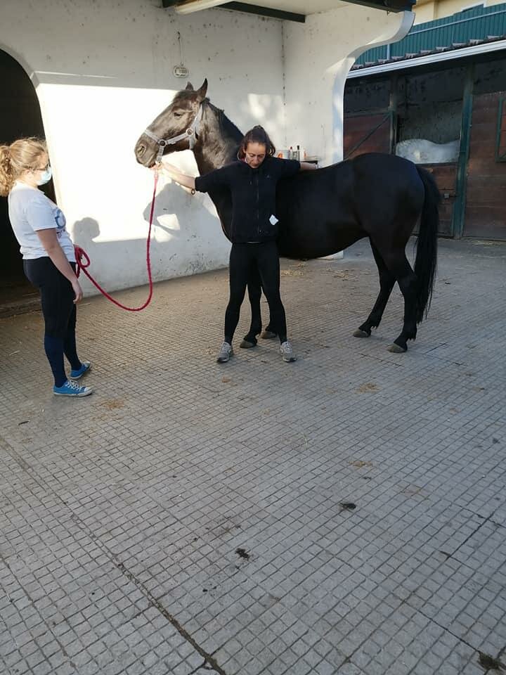 Eğlence merkezleri Academia Equestre Quinta da Pateira, Lizbon İlçesi, foto