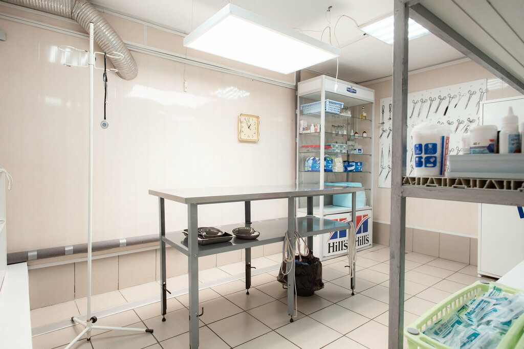 Veteriner klinikleri Kroshka enot, Çeliabinsk, foto
