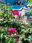 Belaya bereza (Chernomorskaya ulitsa No:146, selo Vityazevo), otel  Krasnodarski krayından