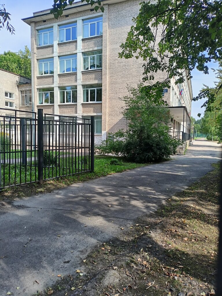 Fen lisesi, sosyal bilimler lisesi Gymnasium № 5, Saint‑Petersburg, foto