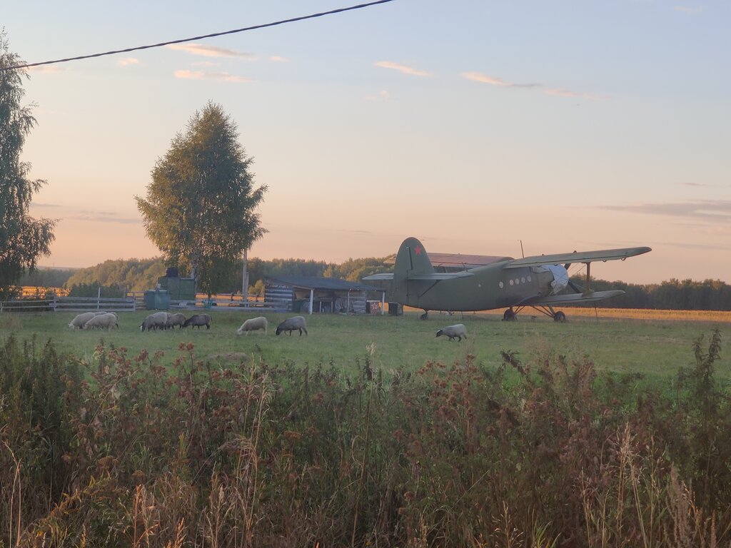 Hava meydanı аэродром Ильясово, Moskova ve Moskovskaya oblastı, foto