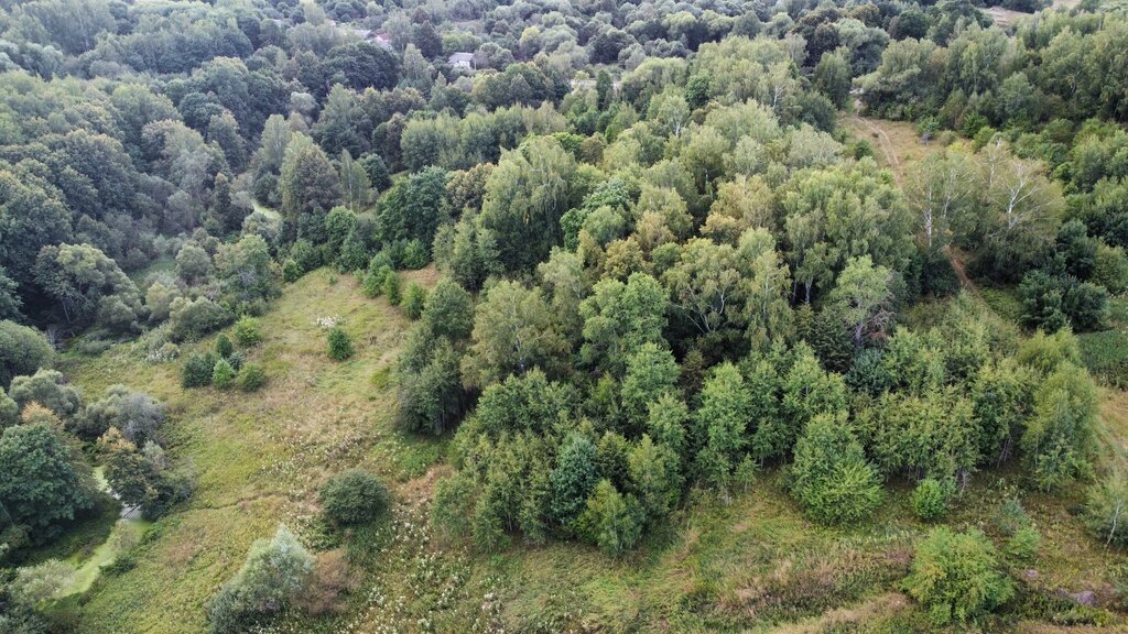 Orman Захарычев сад, Moskova ve Moskovskaya oblastı, foto