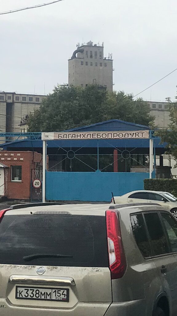 Silo Баганский элеватор, Novosibirskaya oblastı, foto