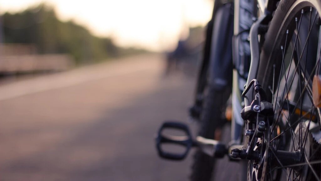 Bisiklet mağazaları Bike & Snow Barthel, Ihr E-Bike Profi in Pirna, Pirna, foto