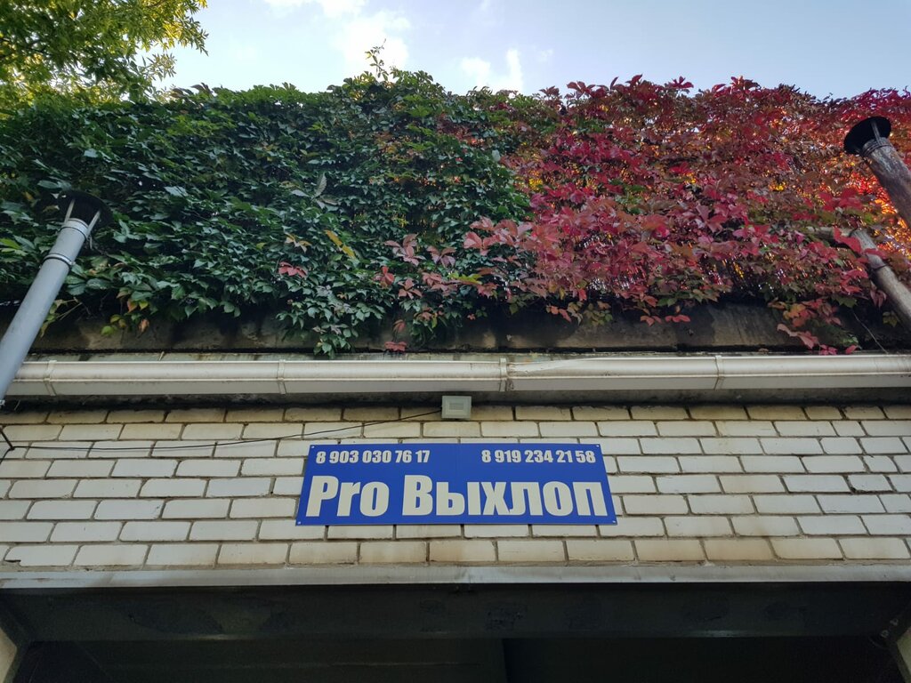 Otomobil servisi Pro Выхлоп, Voronej, foto