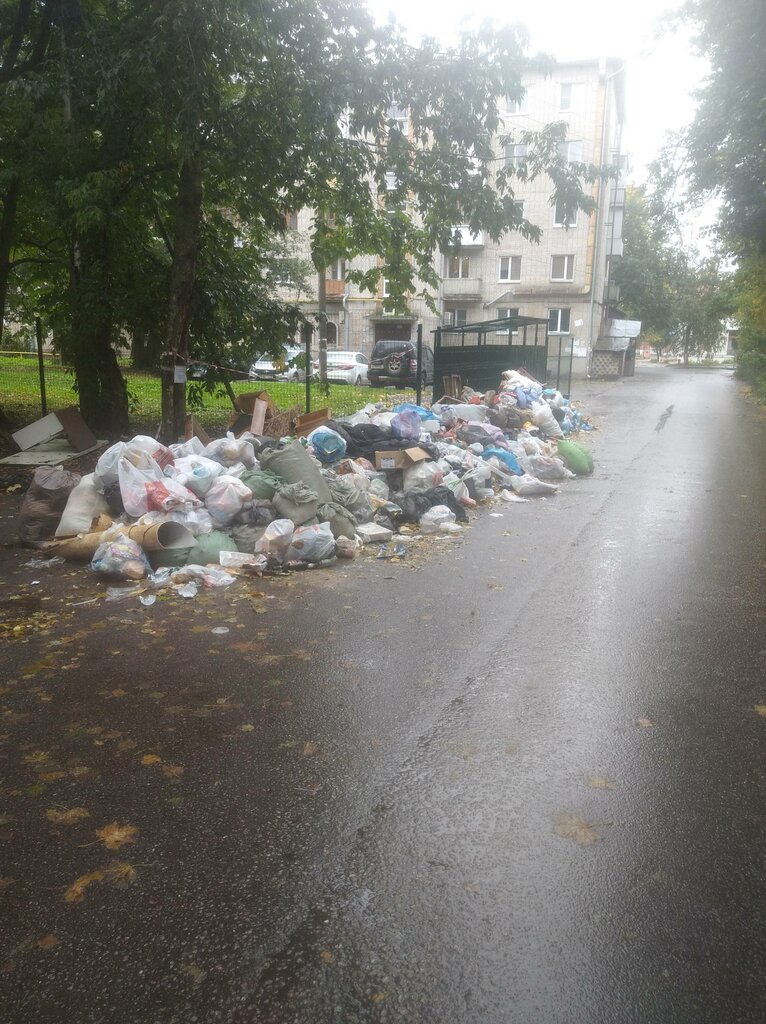 Çöp alanları Trash and garbage disposal area, Velikiy Novgorod, foto