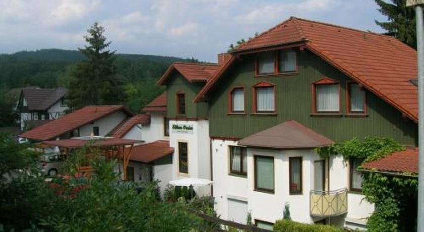 Otel Südharz-Pension, Aşağı Saksonya, foto