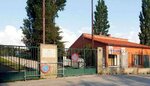 A. S. D. Polisportiva Triveneto Trieste Corsi di Attivita' Motoria e Atletica (Via Giovanni Amendola No:1, Rome), spor kulüpleri  Trieste'den
