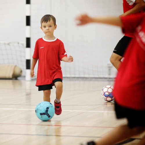 Çok amaçlı spor tesisleri Arena Snegir, Moskova, foto