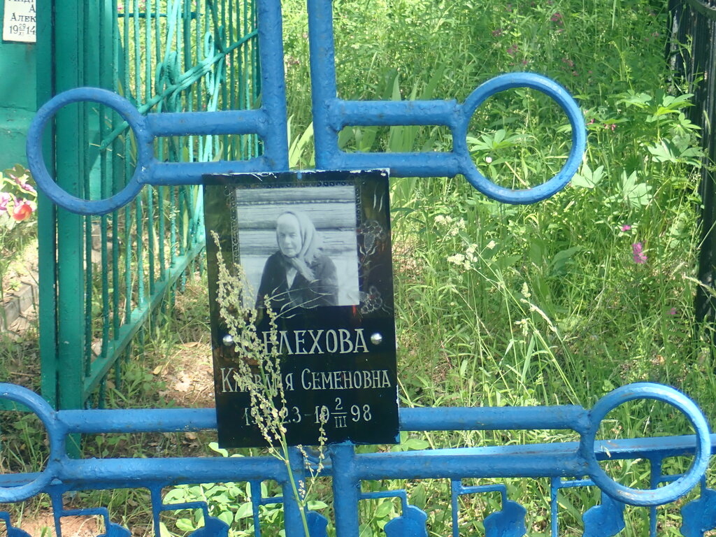 Mezarlıklar Ларионовское кладбище, Vladimirskaya oblastı, foto