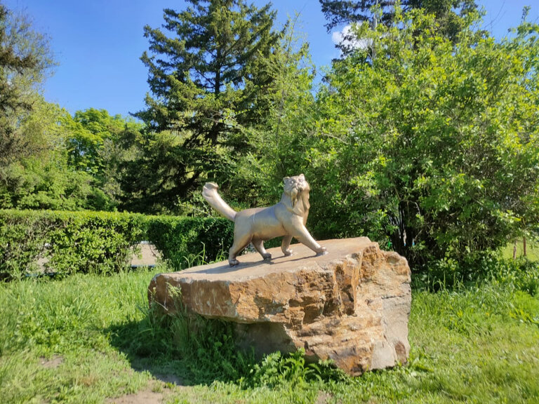 Park, sokak heykeli Волошинский кот, Rostovskaya oblastı, foto
