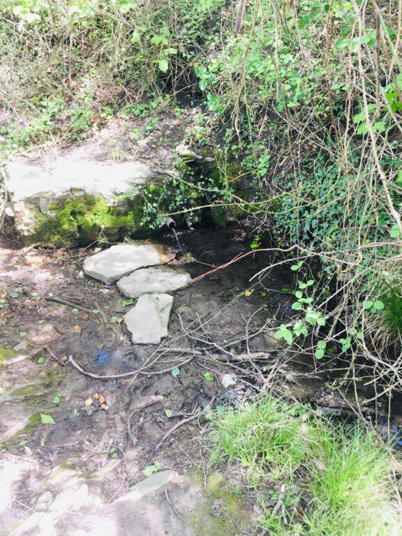 Pınar, çay Spring, stream, Krasnodarski krayı, foto
