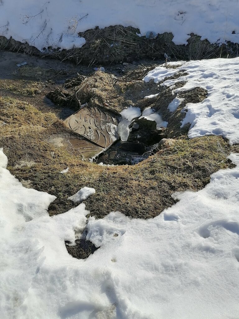 Pınar, çay Spring, stream, Saint‑Petersburg ve Leningradskaya oblastı, foto