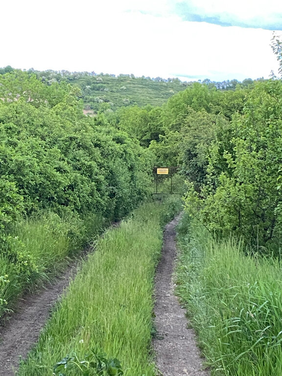 Turistik yerler Баталинский источник, Stavropolski krayı, foto