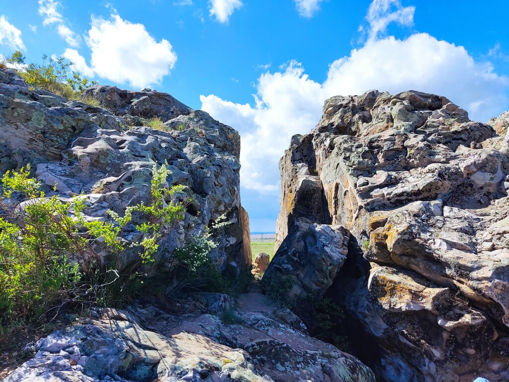 Dağ zirvesi Гора Левое ухо, Volgogradskaya oblastı, foto