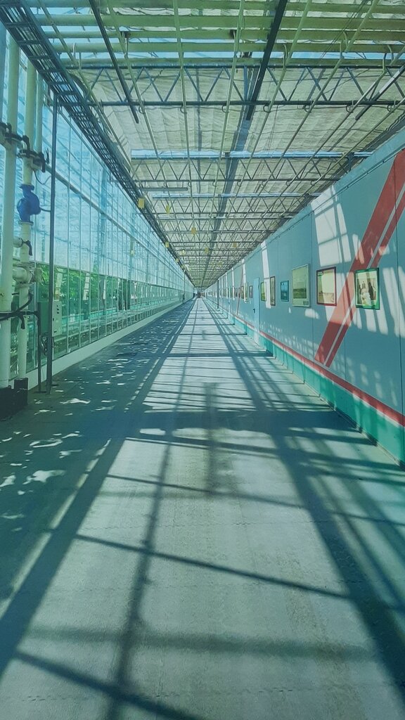 Seracılık ТК Ростовский, Rostovskaya oblastı, foto