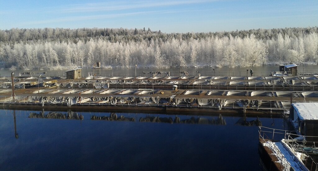 Balık çiftçiliği ve toptancıları Sredneuralsky rybovodny kompleks, Sredneuralsk, foto