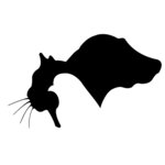 Luckyfly (ulitsa Yunosti No:2, zhiloy kompleks Sholokhovo, derevnya Sholokhovo), hayvanların taşınması  Moskova ve Moskovskaya oblastından