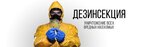 Disinsection Service. Disinfection (Kronshtadtskaya Street No:3к2), haşere ilaçlama firmaları  Saint‑Petersburg'dan