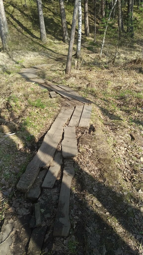 Pınar, çay Spring, stream, Novosibirskaya oblastı, foto