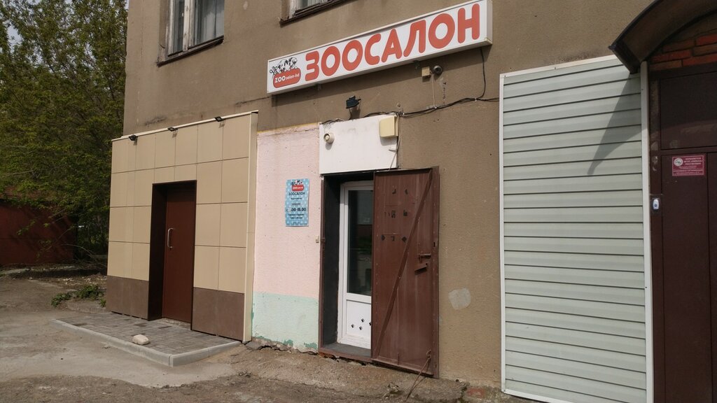 Evcil hayvan kuaförleri Zoosalon-hd.ru, Kazan, foto