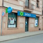 Oficina Seguros Pelayo (Calle Virgen de la Paz No:53, Manzanares), sigorta şirketleri  Kastilya‑La Mancha'dan