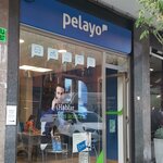 Oficina Seguros Pelayo (Comunidad Autónoma del País Vasco, Bizkaia, Basauri, Calle Lapurdi, 9), sigorta şirketleri  Bask Ülkesi'nden