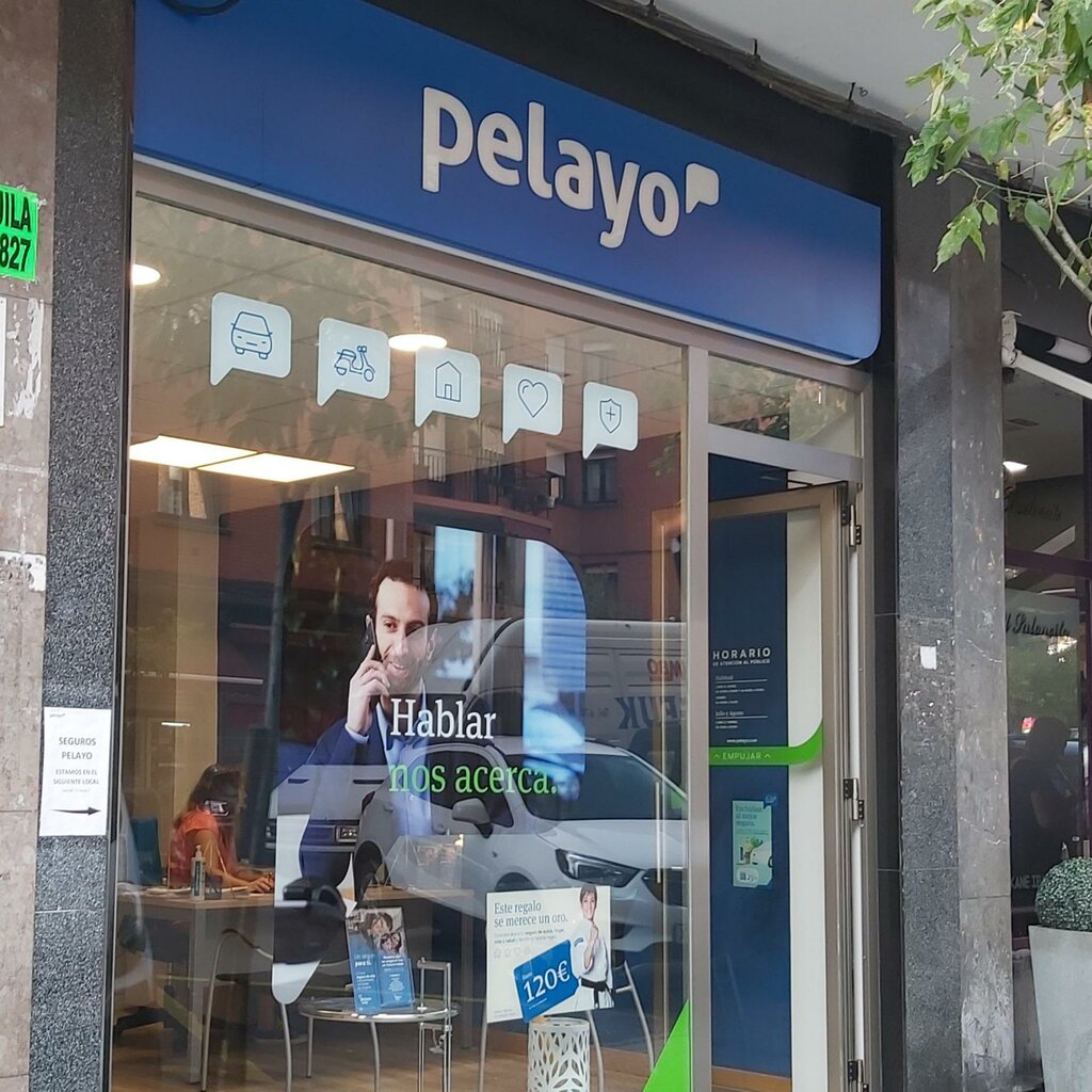 Sigorta şirketleri Oficina Seguros Pelayo, Bask Ülkesi, foto
