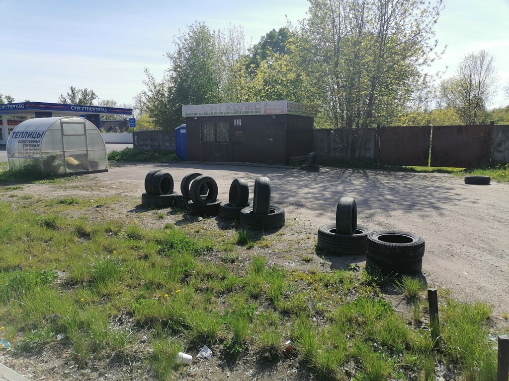 Oto lastik tamiri Shinomontazh, Pskov, foto