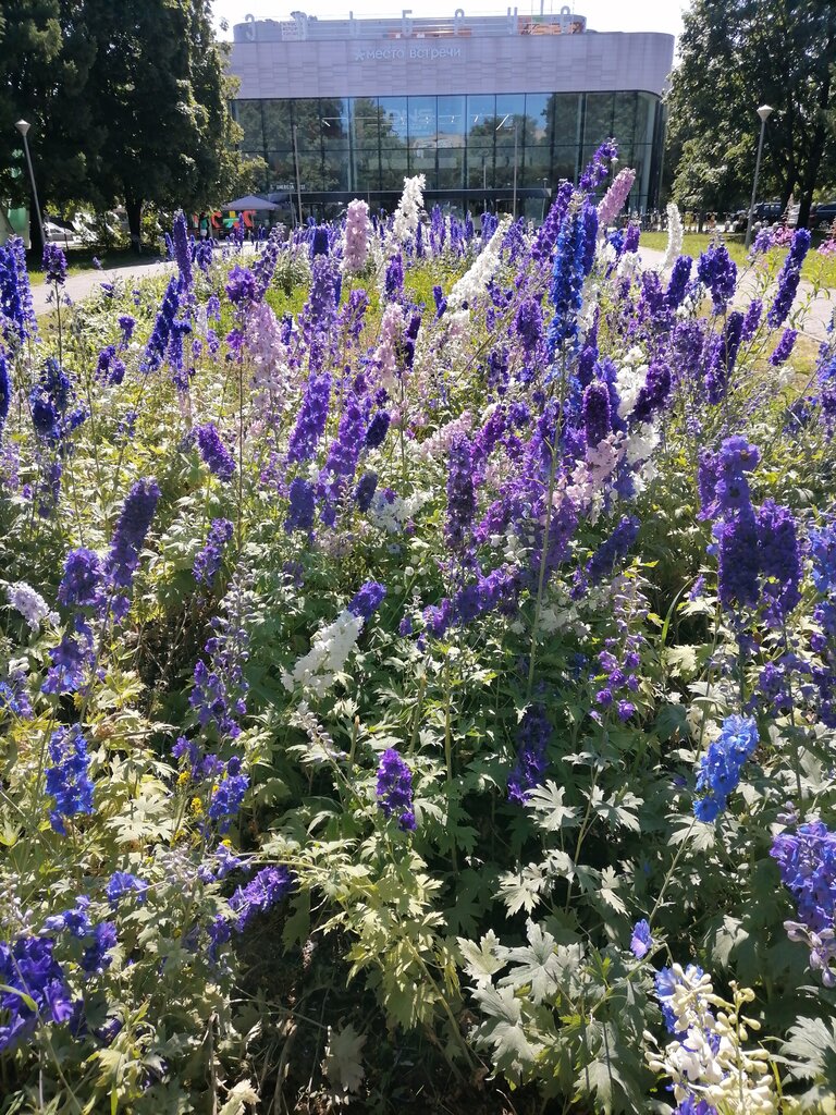 Meydan Сквер у кинотеатра Эльбрус, Moskova, foto