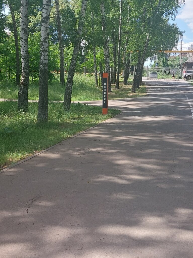 Arama kurtarma Police, Tula, foto
