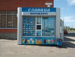 Славица (ulitsa imeni V.I. Orzhevskogo No:7), dondurmacılar  Saratov'dan