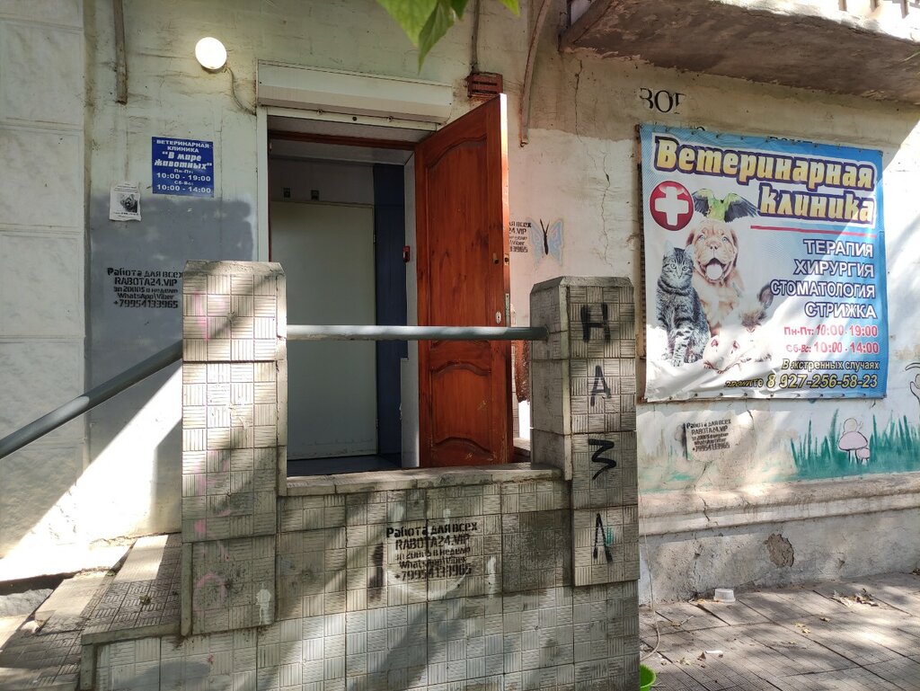 Veteriner klinikleri В мире животных, Volgograd, foto