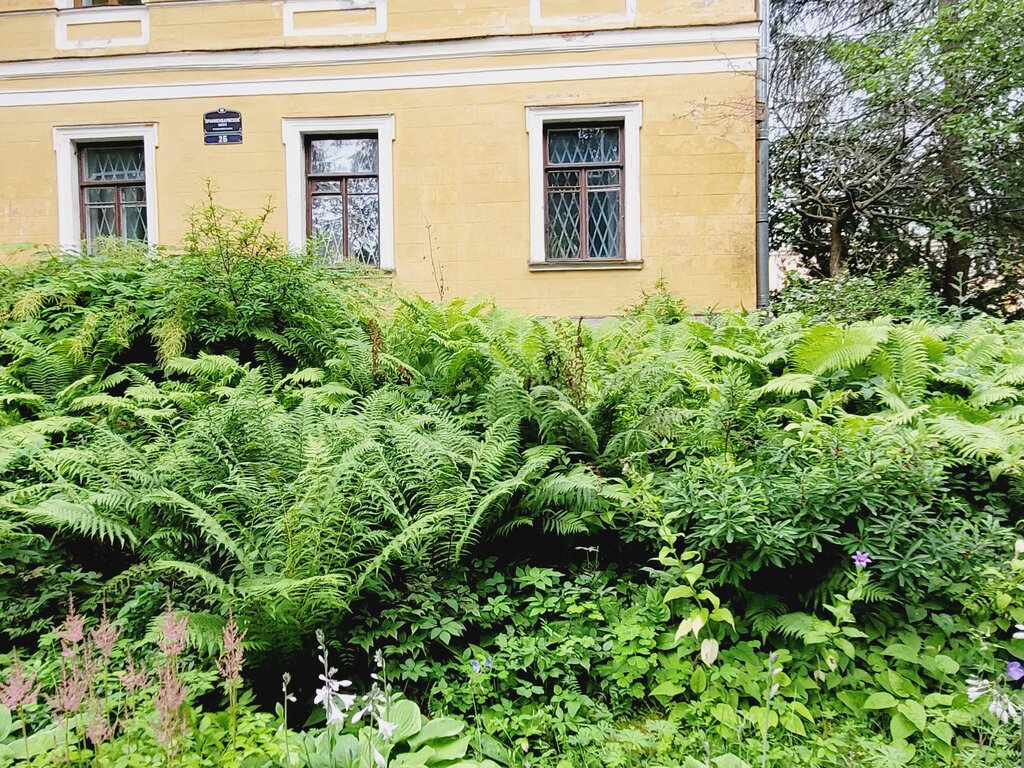 Turistik yerler Гофмейстерский корпус, Peterhof, foto