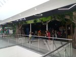 Jungle Park (Verkhnyaya Embankment No:10), oyun odası  Irkutsk'tan